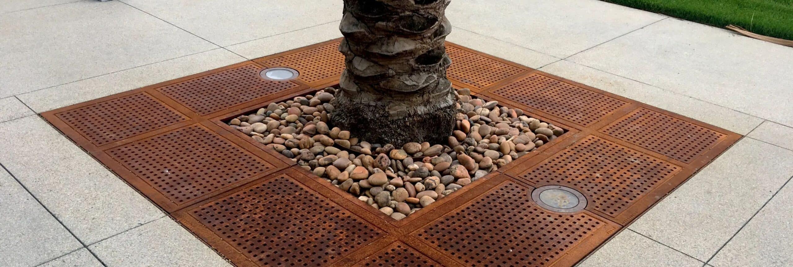 Custom Uplighting for Tree Grates: Enhancing Aesthetics and ...